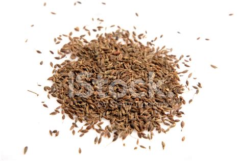 딜 씨 스톡 사진 Freeimages