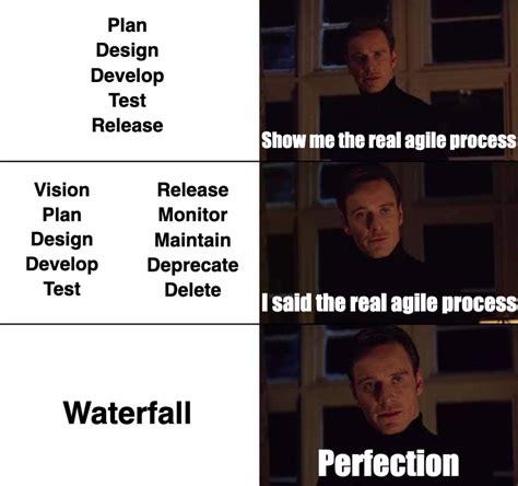 Show Me The Real Agile Process Rprogrammerhumor