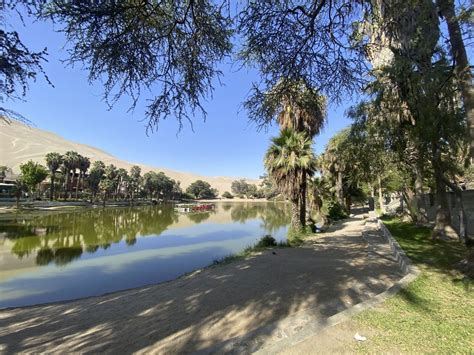 El 95 De Reservas Turísticas En Ica Fueron Canceladas Por Bloqueo De