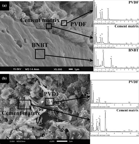 Microstructure Of A Fracture Surfaces At The Interface Between The Bnbt Download Scientific