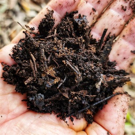 Ligaya Garden — Making Your Own Leaf Mould