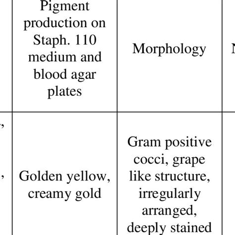 Results Of Cultural And Morphological Characteristics Of Staphylococcus