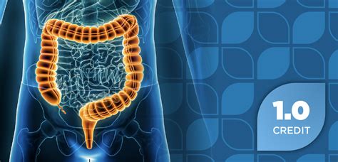 Long Term Antidepressant Drug Use Linked With Risk Of Epilepsy Ajmc