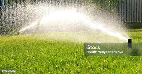 잔디에 물을 자동 정원 관개 시스템 조정 가능한 헤드로 스프링클러 관개 시스템에서 물을 절약 할 수 있습니다 잔디 원예의 관개 및 유지 보수를위한 자동 장비 0명에 대한