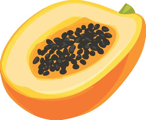 Sweet Cute Simple Papaya Clipart 52237732 Vector Art At Vecteezy