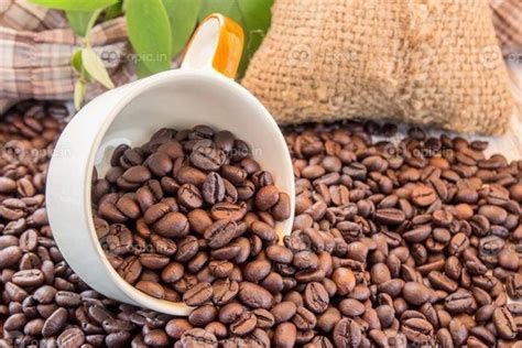 خرید و قیمت دانلود عکس دانه های قهوه و فنجان قهوه در پس زمینه چوبی ترب