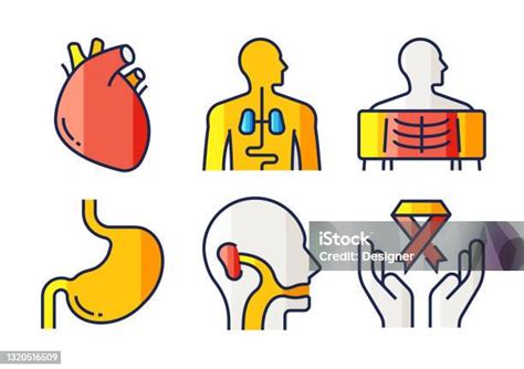 헬스케어 및 의료 플랫 라인 아이콘 윤곽 벡터 기호 일러스트레이션 0명에 대한 스톡 벡터 아트 및 기타 이미지 0명 X