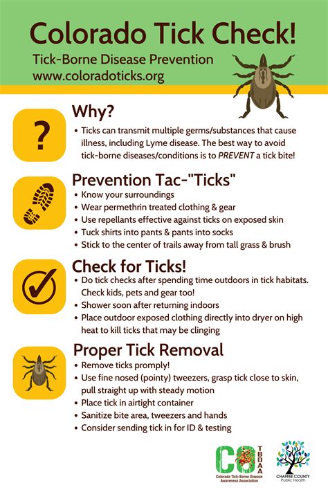 Tick Bite Leaflet