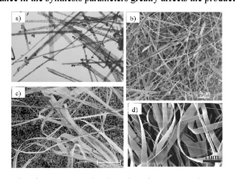 Figure 3 From Nanobelt And Nanosaw Structures Of Ii Vi Semiconductors Semantic Scholar