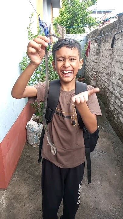 Tom And Jerry😱 Real And Twist😃 Shortviral Comedy Funny Trending Youtube