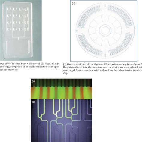 Pdf Microfluidics In Drug Discovery An Overview