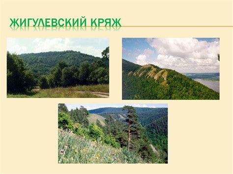 Поволжье - презентация онлайн