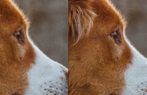 Photo With Block Lines After Applying Topaz Bugs And Issues Topaz Community