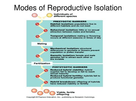Reproductive Isolation