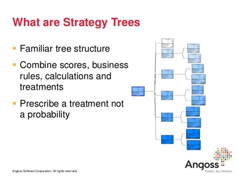 Strategy Trees Angoss Strategybuilder