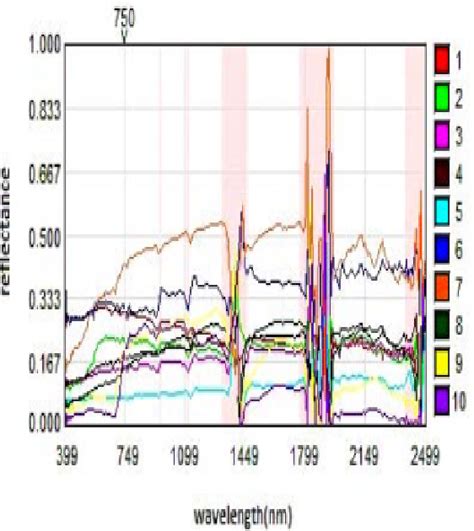 Table 1 From An Understanding Rice Hyperspectral Remote Sensing Imagery Classification Framework