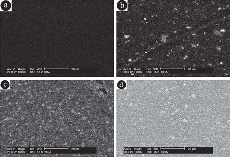 Bsem Pictures Showing The Apatite Particles Distribution Into The Download Scientific Diagram