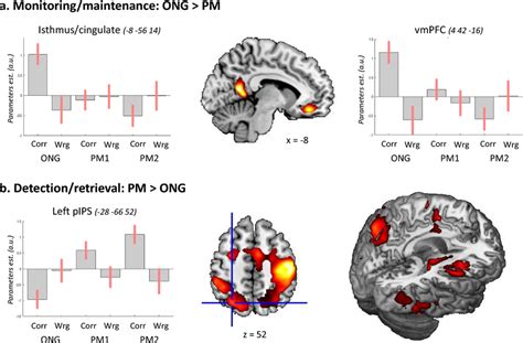 Overall Effects Of Monitoring Vs Detection A Effect Of Monitoring