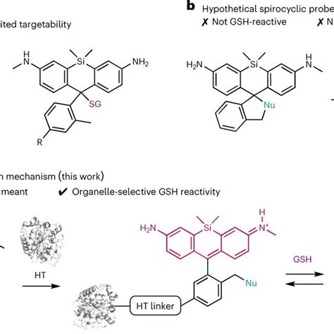 previously reported sir based gsh sensors and the traq g sensing