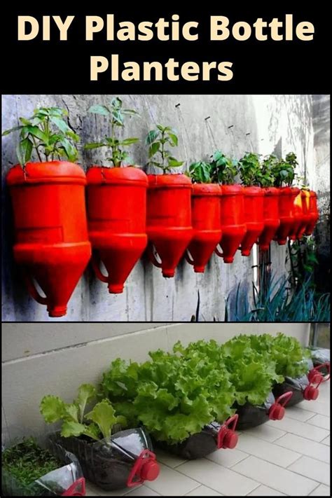 Diy Plastic Bottle Planters Upcycled Planter