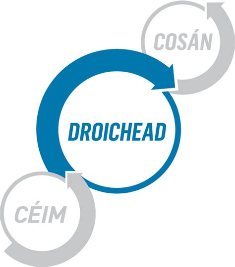 The Droichead Process Oide