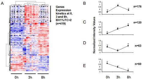DC Gene Signature Upon Staphylococcus Aureus Interaction At Three