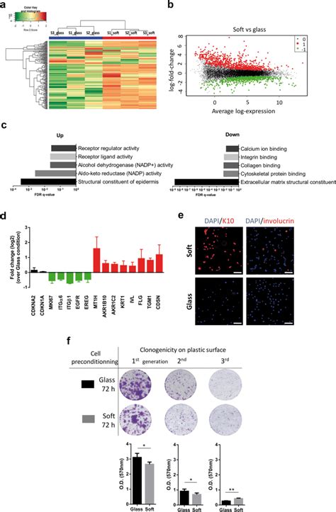 Transcriptomic Profiling And Colony Forming Efficiency A Hierarchical