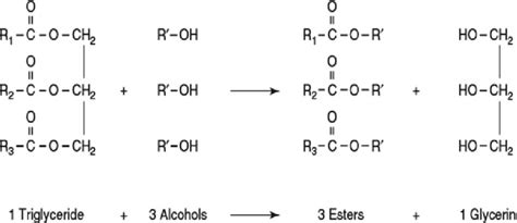 1 Transesterification Reaction Used To Produce Biodiesel Esters The Download Scientific