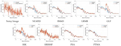 Hyperspectral Image Denoising Based On Principal Third Order Moment
