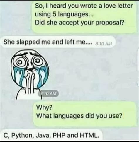 Experienced Javascript Developer Meme Rprogrammerhumor