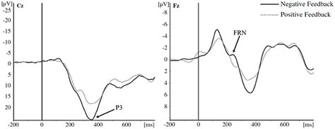 Frontiers Event Related Potentials In Relation To Risk Taking A
