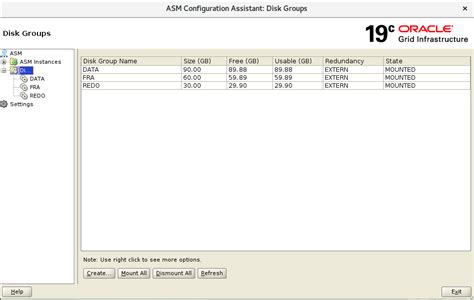 Oradicas Oracle How To Configure Disks For Asm Using Udev File