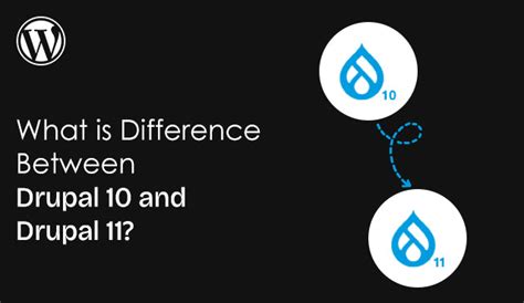 Difference Between Drupal 10 And Drupal 11 Which Is Best For Your Website Pti Webtech
