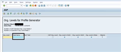 Convert Pfcg Authorization Field To Organization Level Free Sap