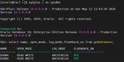 Bật Tắt Flashback Trên Oracle Database Rac 19c Datalinksvn