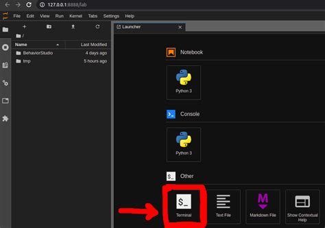 Open In Terminal Killed Silently In Vnc Lanetawinter