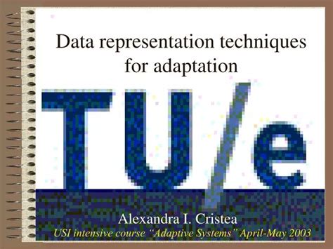 Ppt Data Representation Techniques For Adaptation Powerpoint