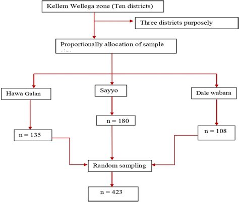 Schematic Presentation Of Sampling Techniques For Pregnant Women Of Download Scientific Diagram