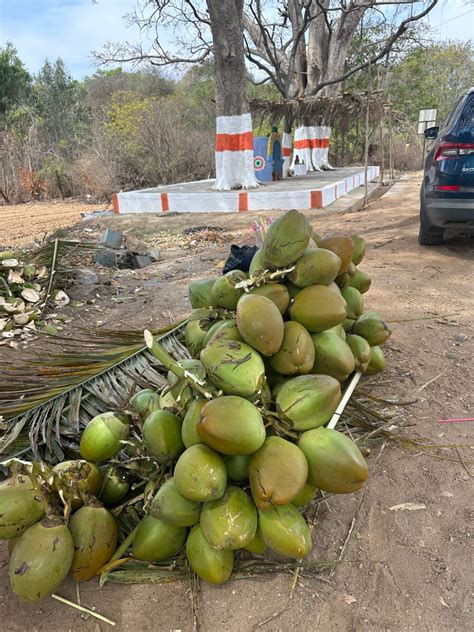 Learning Businessinsights Sustainability Leaninventory Innovation Naturelearning Stylumia