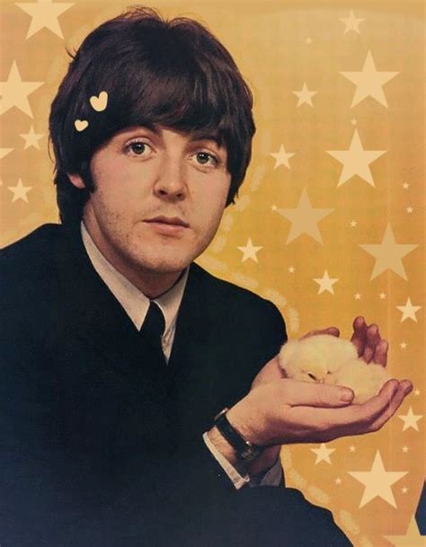 Paul Mccartney Icon