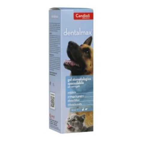 DENTAL MAX