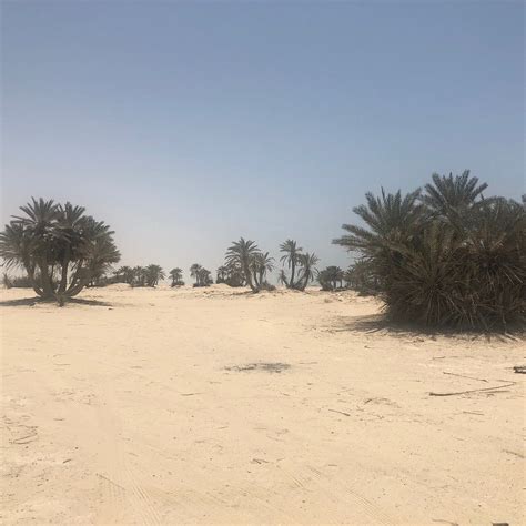 Umm Bab Beach 2026 All You Must Know Before You Go With Reviews