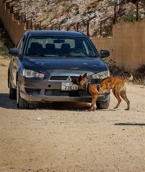 Roadside Ied And Stand Alone Vbieds Detection Course Jordan National