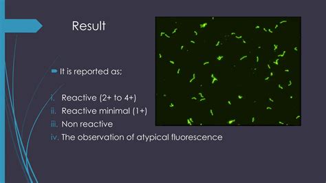 Treponemal Test Ppt Microbiology Slidepptx Treponemal Test Ppt Microbiology Slidepptx
