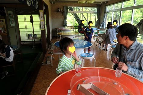 子どもとの魚釣り初体験！追の沢マス釣り場は初心者でも楽しかった さいとうサポート