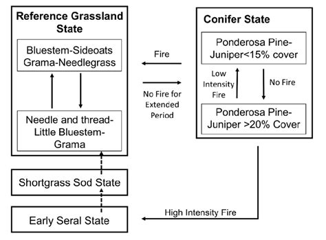Figure A1 2 A Simplified State And Transition Model Stm From The Download Scientific Diagram