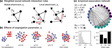 Figure 1 From Strength Of Minority Ties The Role Of Homophily And Group Composition In A
