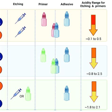 Classification Of Dental Adhesive Systems Based On Their Interaction Download Scientific