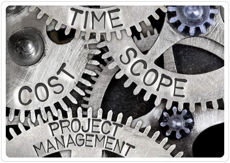 Professional Project Management Services Citrus Informatics