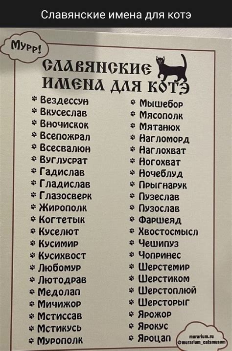 Славянские имена для котэ АйДаПрикол Подсказки писателю Случайные цитаты Юмористические цитаты